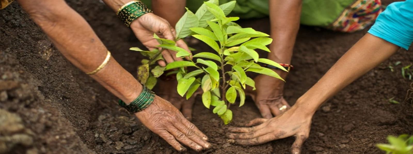 Paani Foundation - A people's movement to fight drought