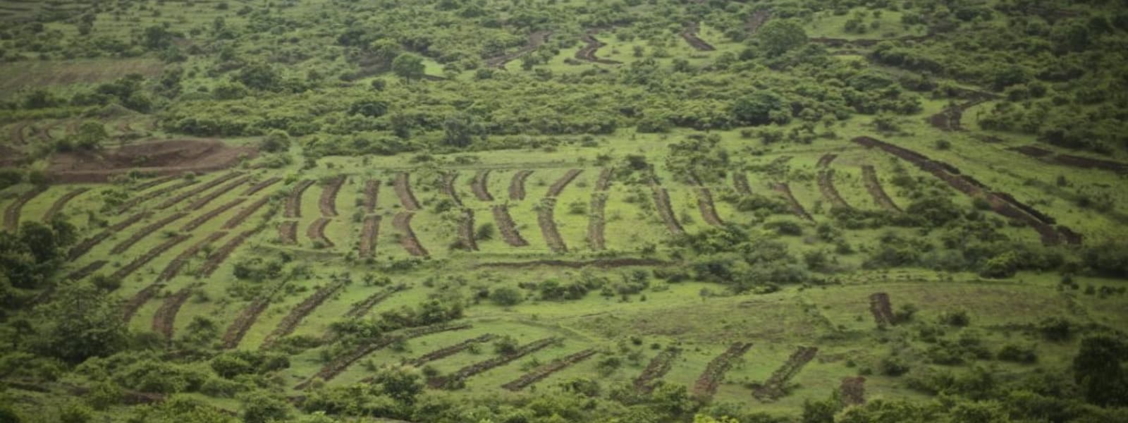 Paani Foundation - A people's movement to fight drought
